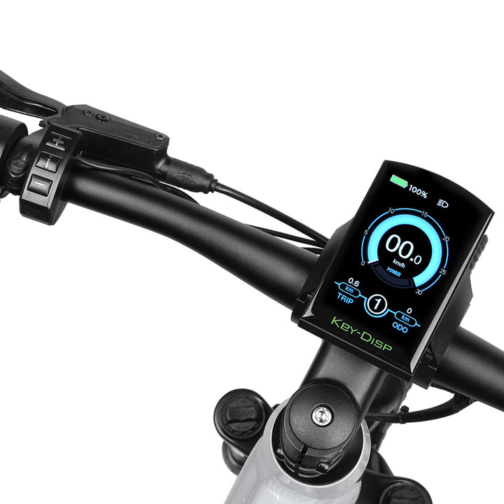 E-bike HMI Display – ElectroCity Bikes LTD